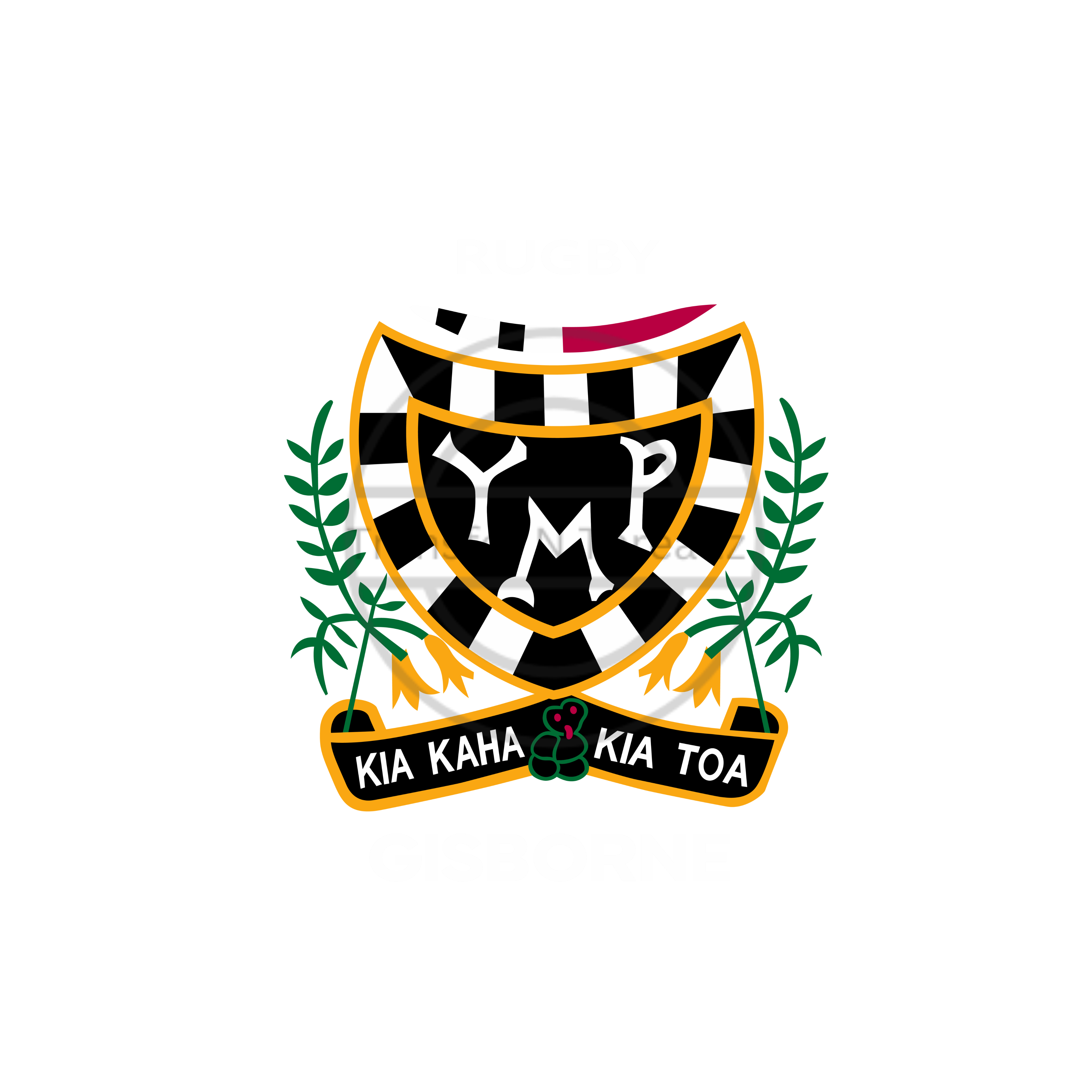 YMP Rugby Gisborne